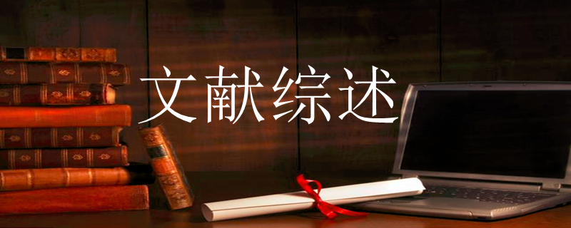 写论文时，怎样收集文献综述资料